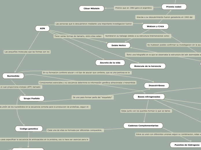 ADN - Mind Map